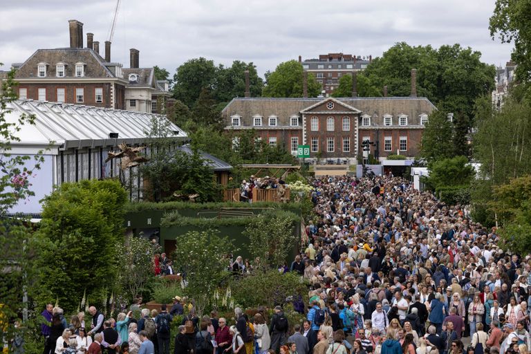 Everything you need to know about the 2024 Chelsea Flower Show ...